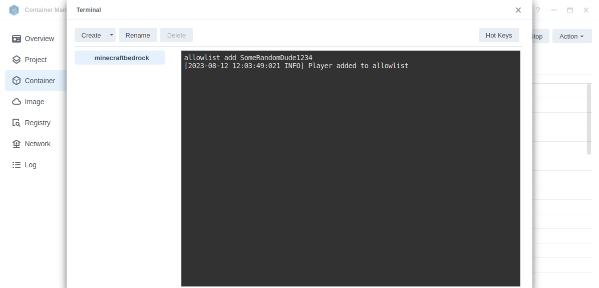 Minecraft (Bedrock Console) Server in Container Manager on a Synology NAS